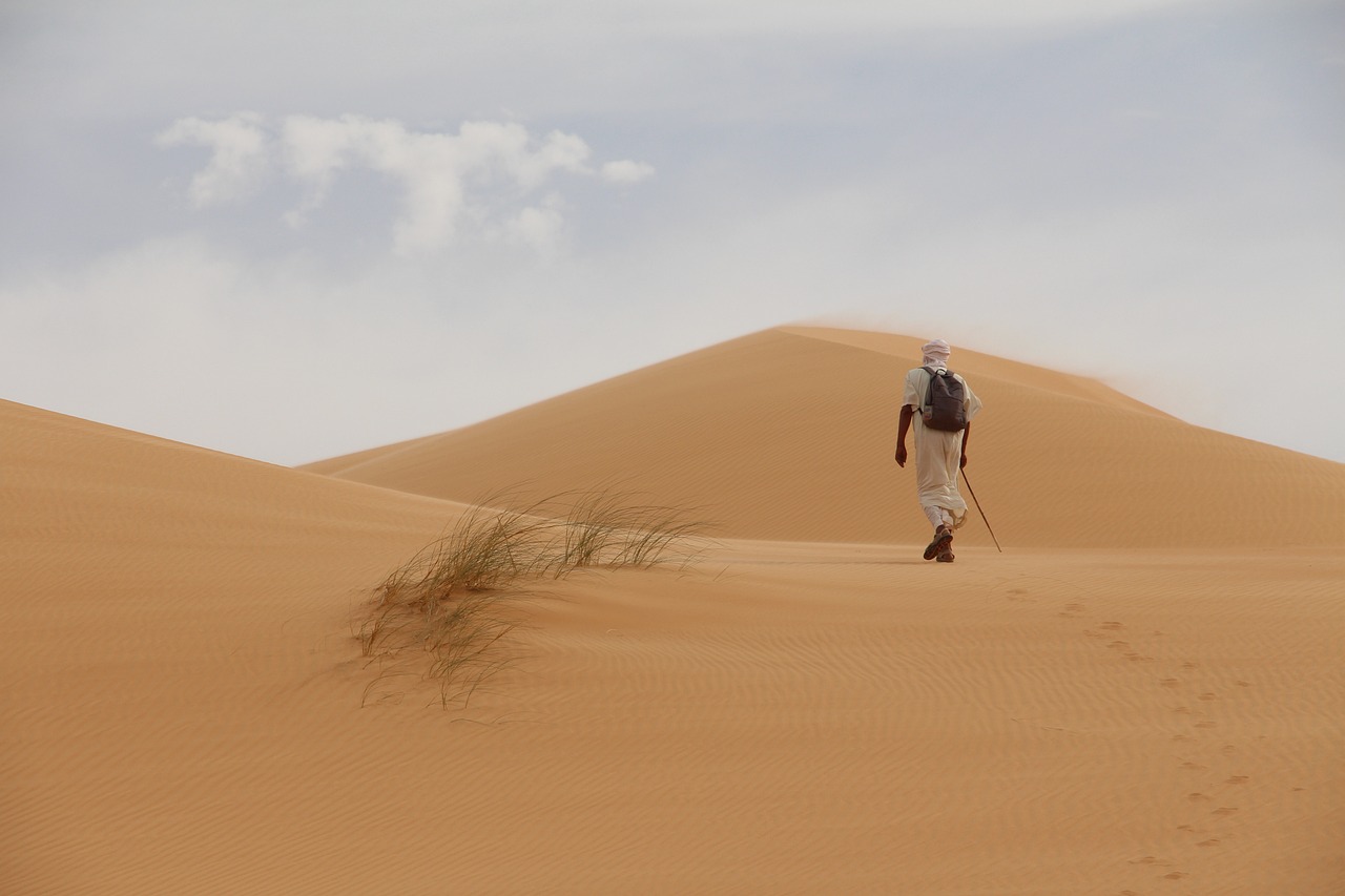 How to Run an Ultramarathon: Training and Preparation